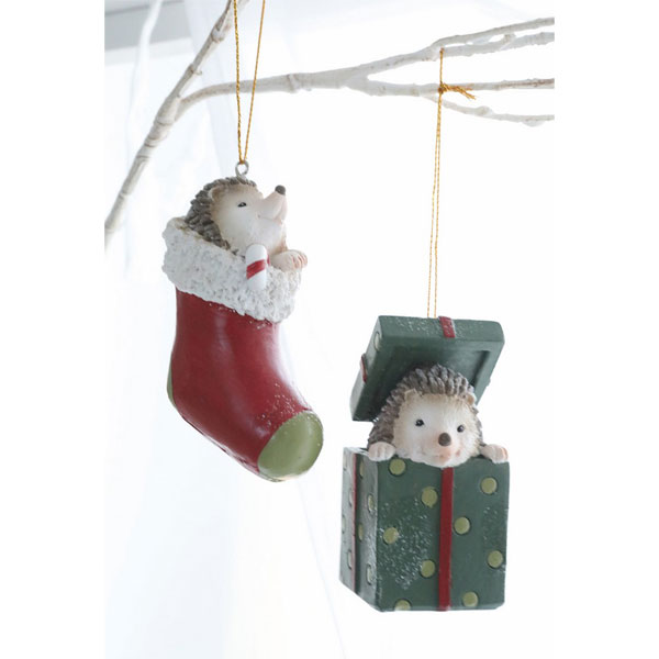 プレゼント・ヘッジホッグペア(NH-41) の通販 | 園芸ネット