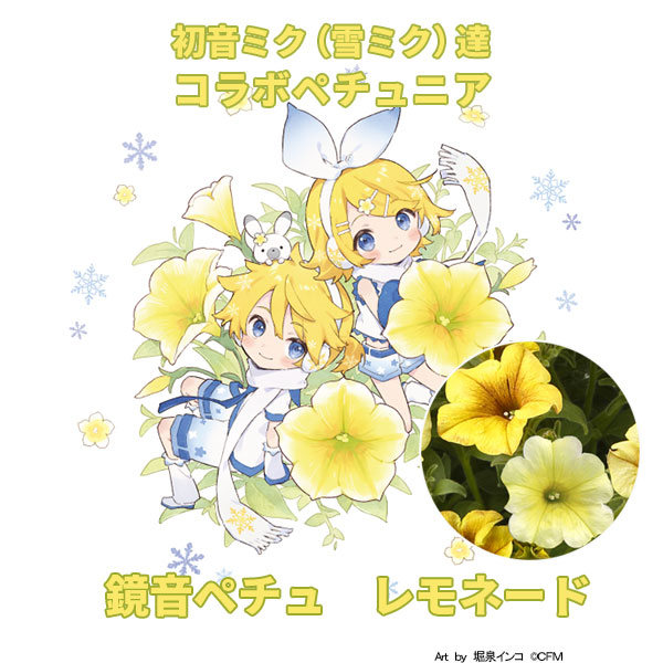 園芸ネット本店｜ペチュニア：鏡音ペチュ レモネード3.5号ポット 6株セット の通販【公式】