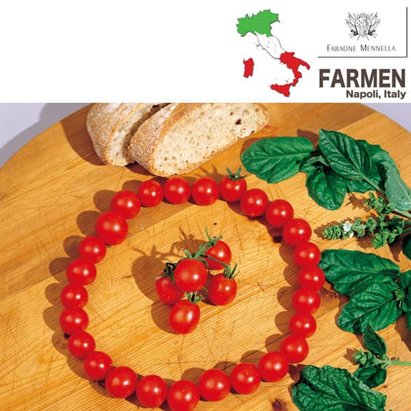 料理用イタリアトマト：ピッツァヨーラ3.5号ポット 3株セット の通販 | 園芸ネット