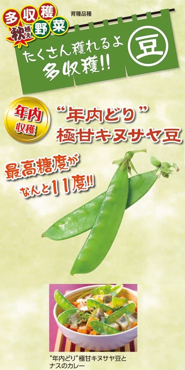 （わけあり特価）極甘キヌサヤ豆3号ポット の通販 | 園芸ネット